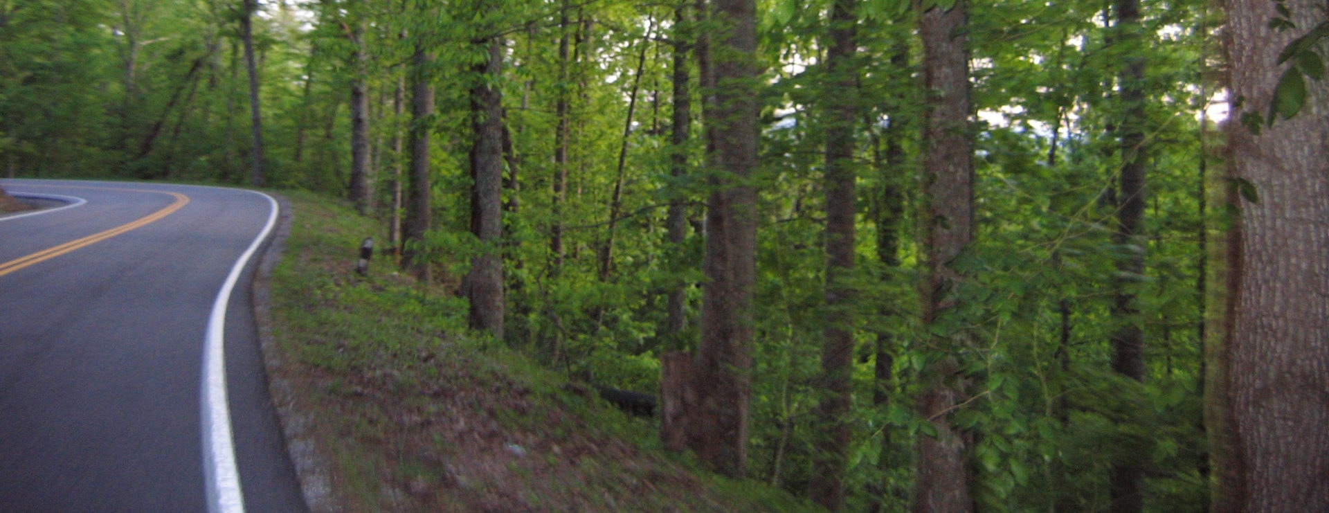 What's New | Indigenous Energy